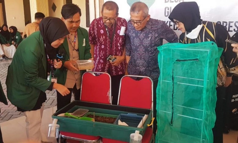 Antusias Masyarakat akan Budidaya Manggot Sebagai Peluang Bisnis oleh Mahasiswa KKN Unusa di ...
